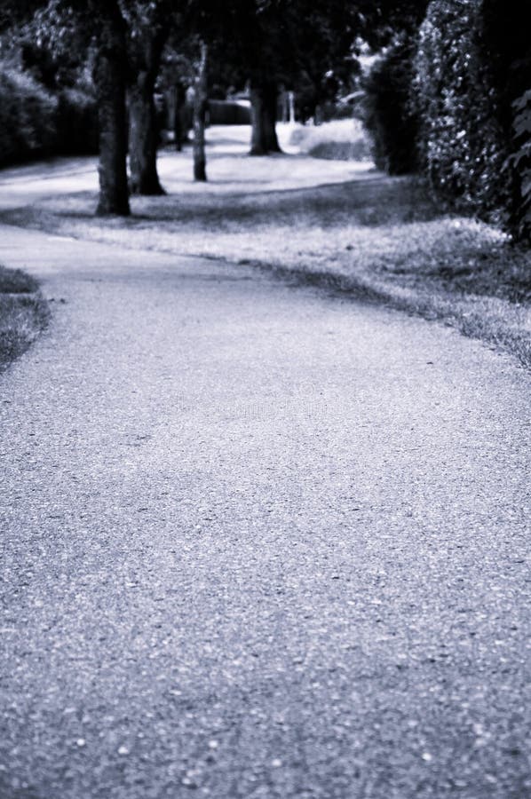 Pathway in Park - Black and White Photo Stock Image - Image of tree ...