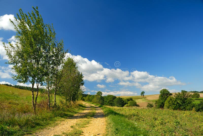 Trees Next To a Rural Road Running among Green Fields Stock Image ...
