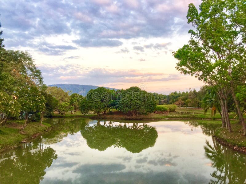 Trees and Nice Sky Reflection into Lake Stock Photo - Image of nice ...