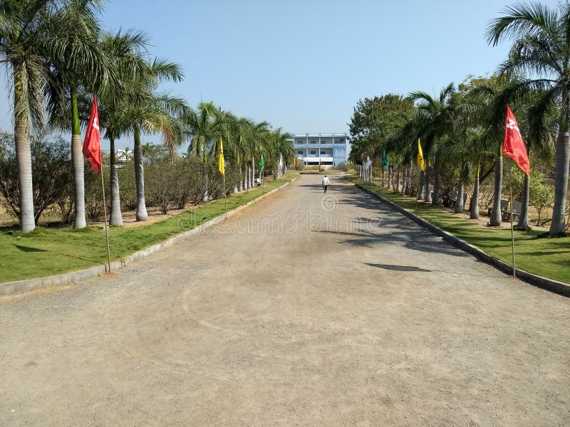 College, road stock photo. Image of trees, nice, weather - 125070174