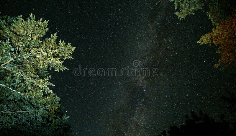 Trees Night Stars stock image. Image of glow, night - 229424665