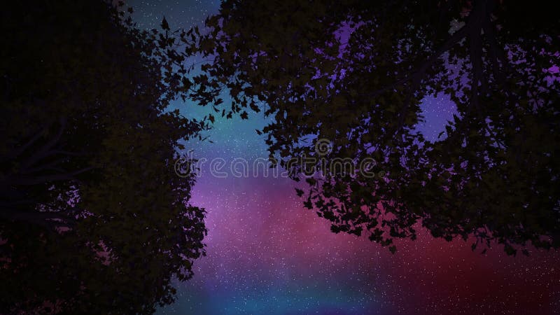 Tree Blowing at Night. Seamless Loop. 4K Stock Footage - Video of park ...