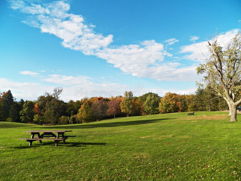 Trees in October stock photo. Image of nature, green - 60907686