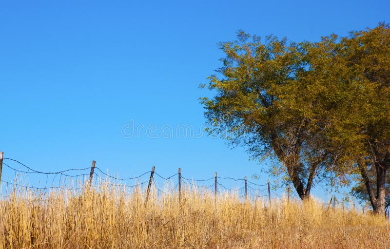 Trees and Old Wire Fence stock image. Image of hill, edge - 11651807