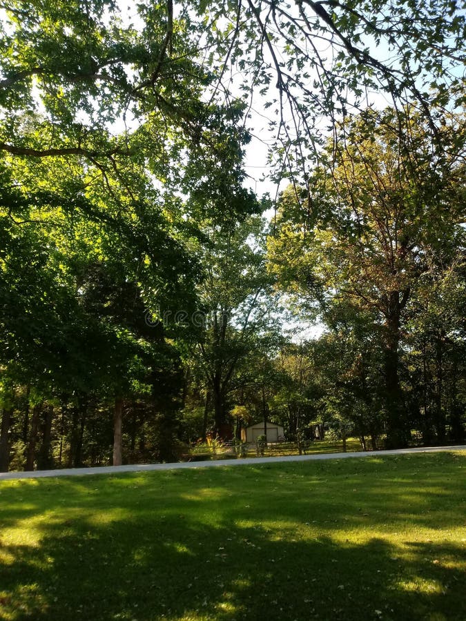 Trees stock image. Image of open, trees, scenery, land - 132557923