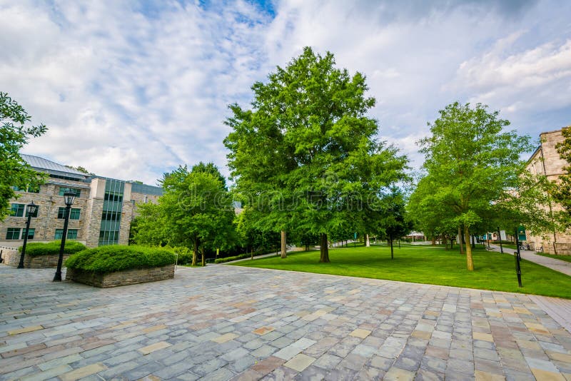 Trees and Open Space at Loyola University Maryland, in Baltimore ...