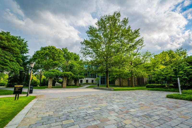 Trees and Open Space at Loyola University Maryland, in Baltimore ...