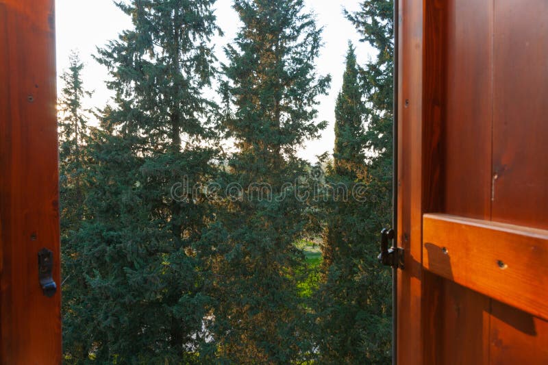 Trees through Open Wooden Window Stock Photo - Image of wooden, green ...