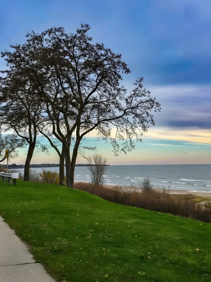 Trees Overlooking the Beach and Ocean on a Cloudy Day Stock Photo ...