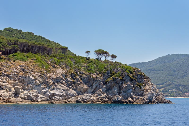 Trees overlooking the sea stock image. Image of summer - 60405089