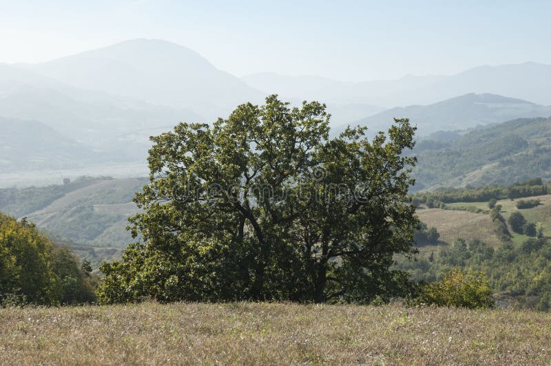 Trees Overlooking the Valley Stock Image - Image of hermitage, rural ...