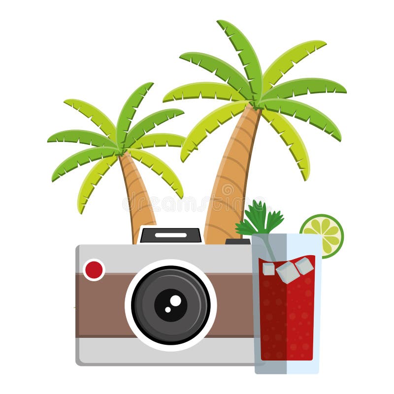 Trees Palms Beach Scene with Cocktail and Camera Stock Illustration ...
