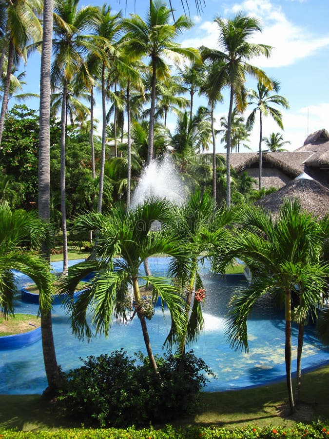 Trees Palms. House with a Thatched Roof. Stock Image - Image of roof ...