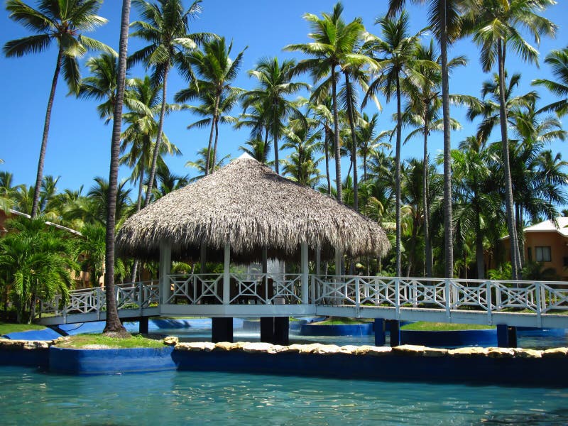 Trees Palms. Pool. House with a Thatched Roof Stock Photo - Image of ...