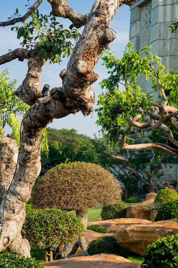 Trees in the par stock photo. Image of summer, house - 66874466