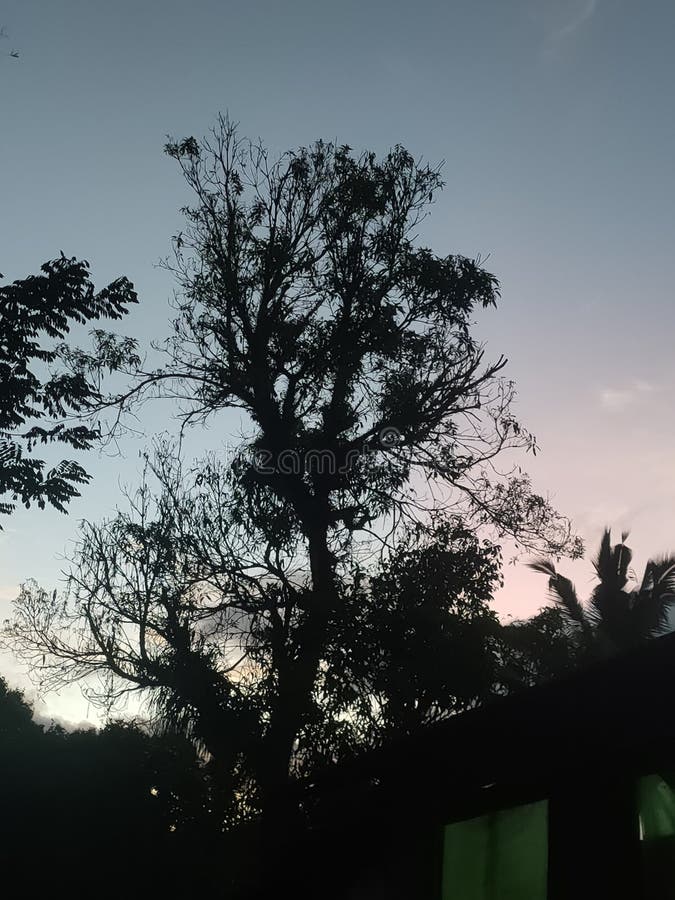 Parasiteswith Stock Photos - Free & Royalty-Free Stock Photos from ...