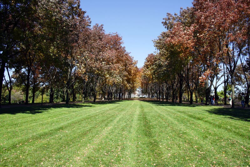 Trees in a Park stock image. Image of path, environment - 2078127