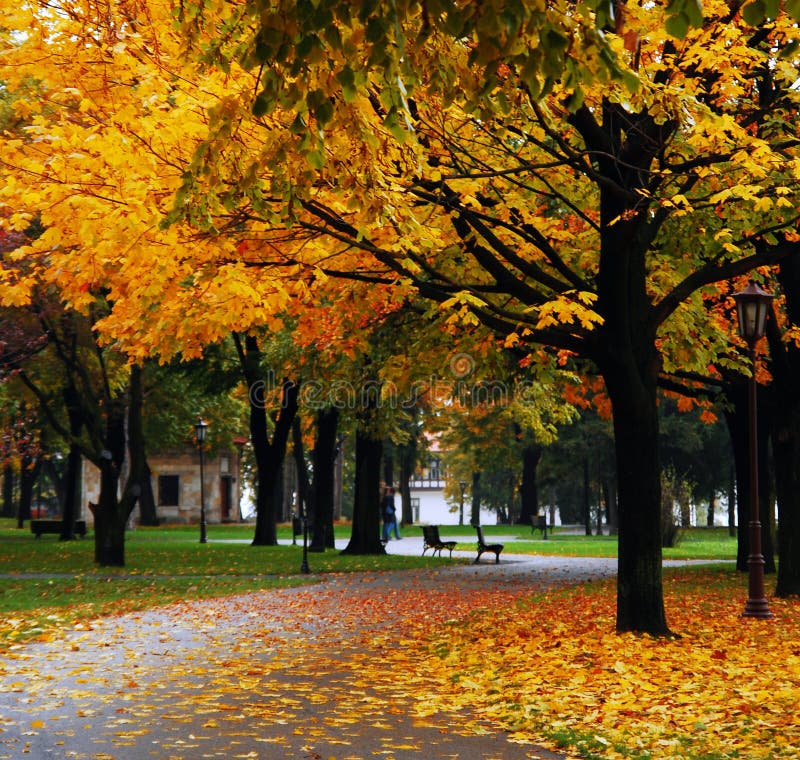 Fall in the Park stock image. Image of coast, bench, foliage - 1624887