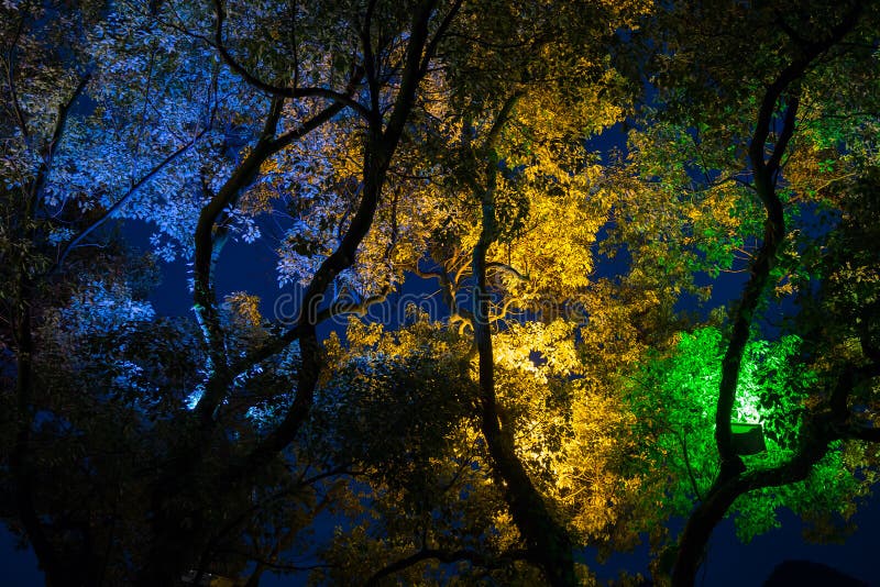 Trees at the Park in China by Night Stock Photo - Image of beijing ...