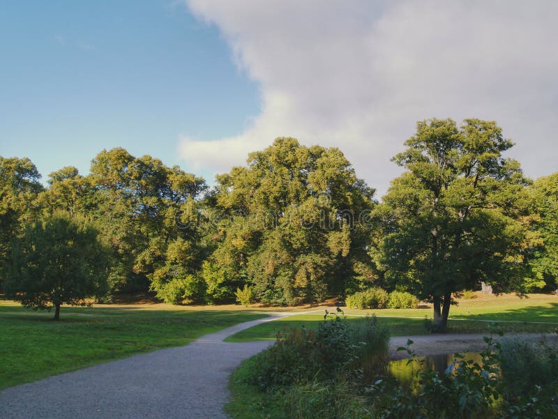 Trees in park during day stock image. Image of park - 256376631