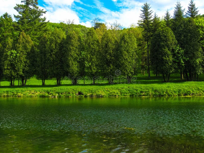 Trees in the Park Near the River Stock Image - Image of outdoors ...