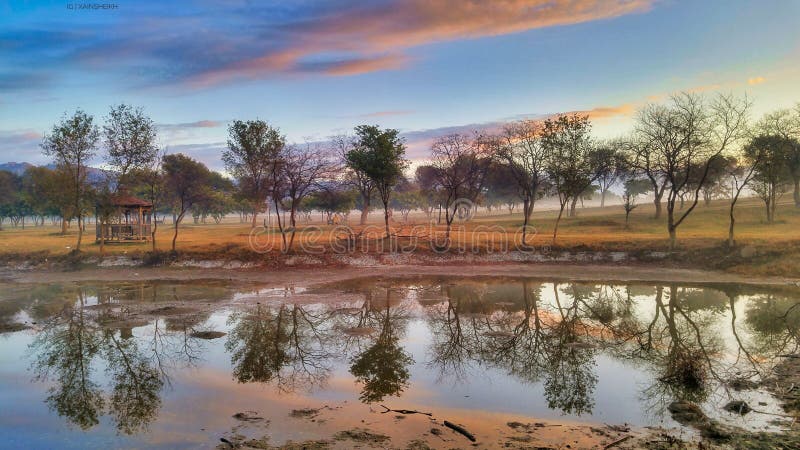 Trees in a Park with Their Reflection in a Small Pond on an Evening ...