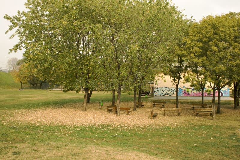 Trees in the park stock image. Image of park, playground - 34910617