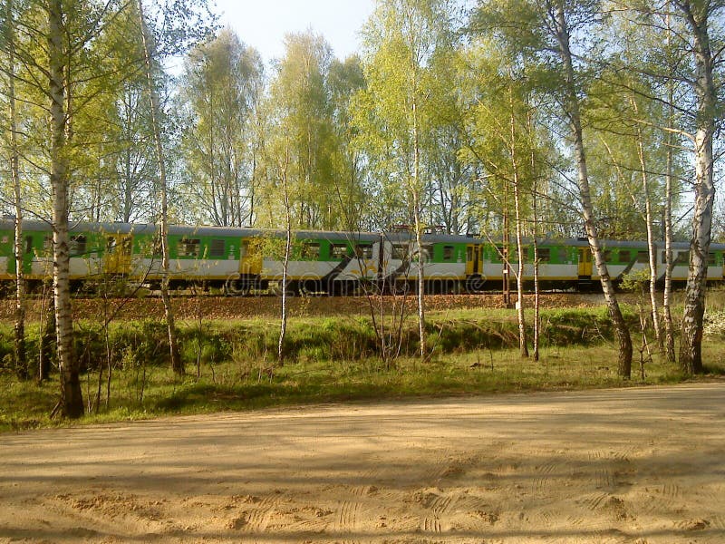 Trees and passing train stock image. Image of landscape - 45071939