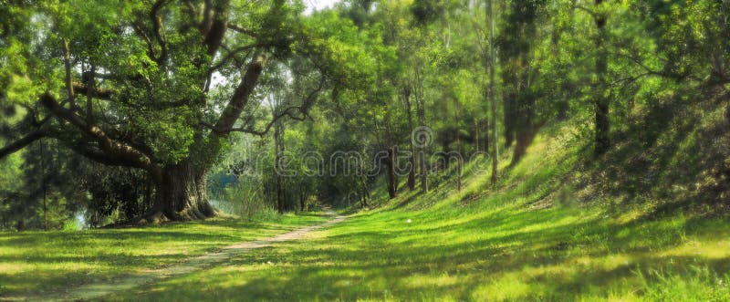 Trees and a Path in the Green Magic Forest in Spring Stock Image ...