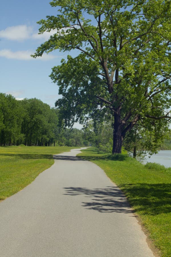 Trees on pathway stock image. Image of walking, train - 81127689