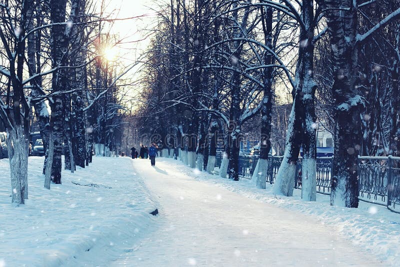 Trees pathway winter stock image. Image of empty, background - 89335765