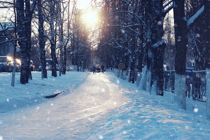 Trees pathway winter stock photo. Image of empty, footpath - 79681774