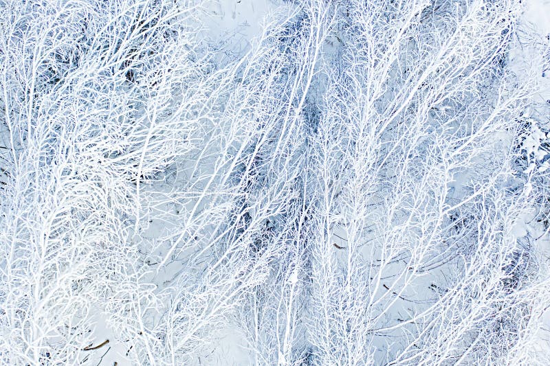 Trees Patterns after Heavy Snow Fall. Aerial Close Up. Winter Concept ...