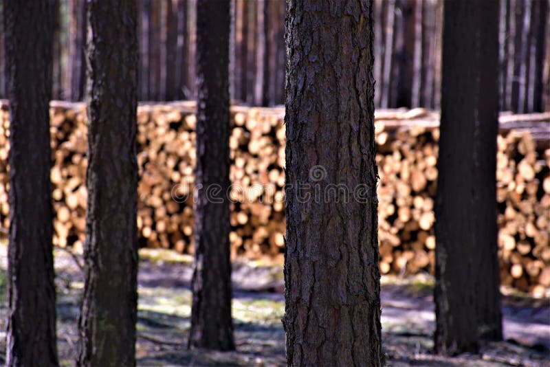 Path Divides Photos - Free & Royalty-Free Stock Photos from Dreamstime