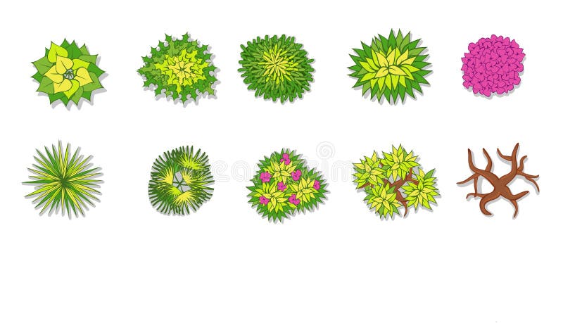 Trees, Plant , Flower Item Top View. Stock Vector - Illustration of ...