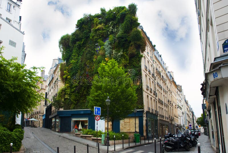 Trees and Plants Over Palace in Paris Stock Image - Image of plant ...