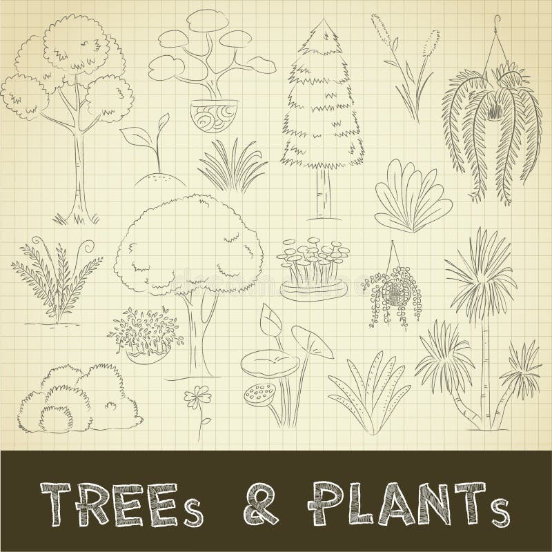Trees and plants set stock illustration. Illustration of drawing - 56756207
