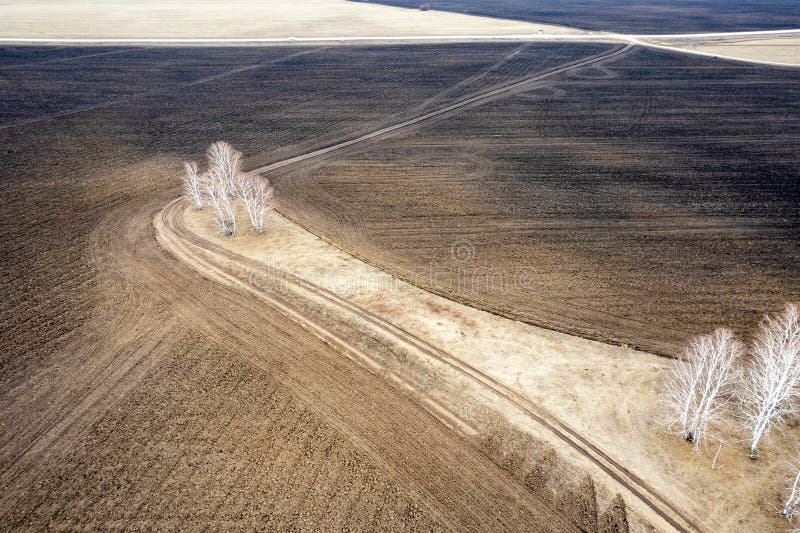 Trees on a Plowed Field and a Road with a Turn Stock Photo - Image of ...
