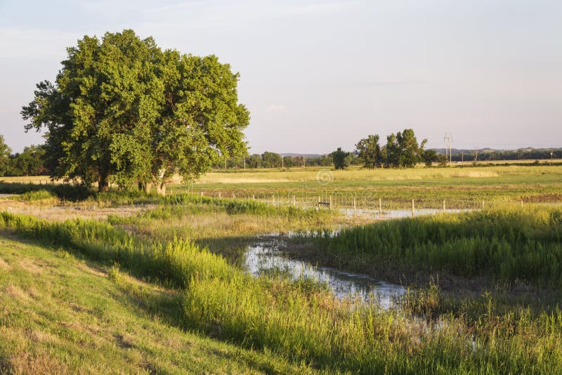 Trees, Pond, and Fields in Nebraska Stock Image - Image of spring ...