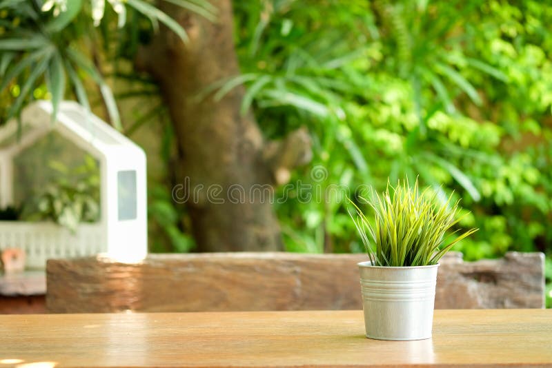 Trees in Pots on a Wooden Table Stock Photo - Image of vintage ...