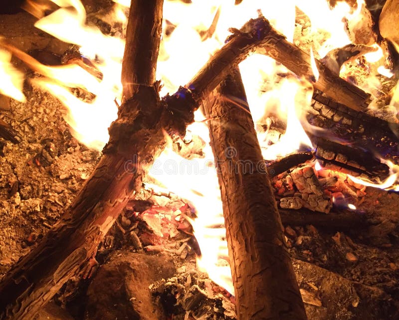 Trees stock image. Image of wood, fire, campfire, heat - 76304711