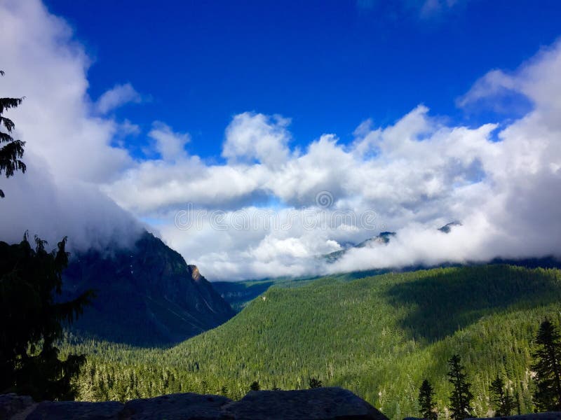 Trees stock photo. Image of cloud, daytime, plateau, hill - 76304814