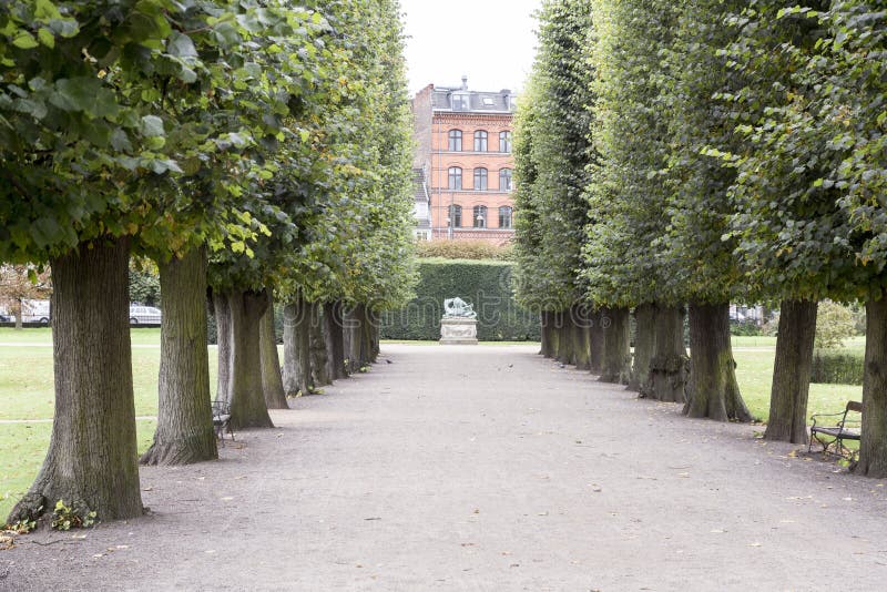 Trees in public park stock image. Image of horticulture - 160995251
