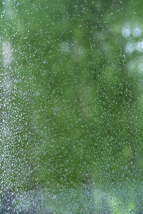 Trees through a Rain Soaked Window Stock Image - Image of stream, rain ...