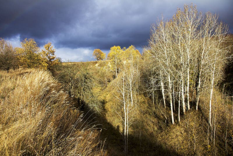 Trees in the ravines. stock image. Image of background - 99065373