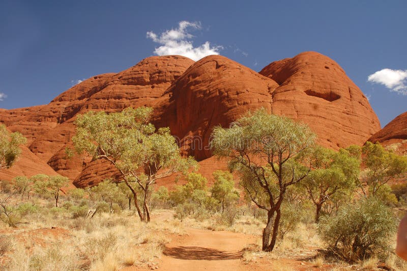 Trees with Red Rocks in Australia Stock Photo - Image of bush, desert ...