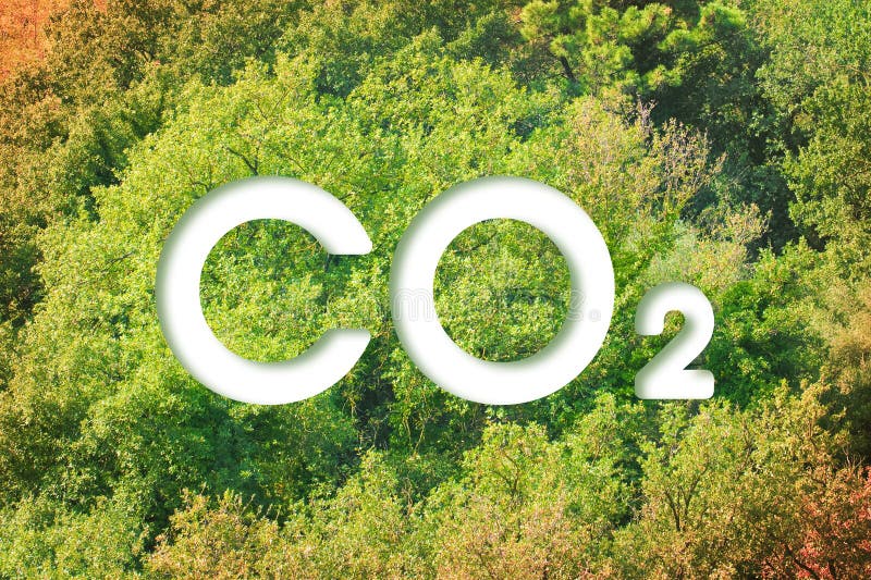 Planting More Trees Reduce the Amount of CO2 - Concept with CO2 Text ...