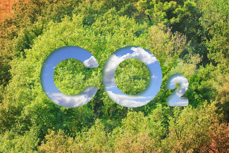 Trees Reduce the Amount of CO2 - Concept Image with CO2 Text Against ...