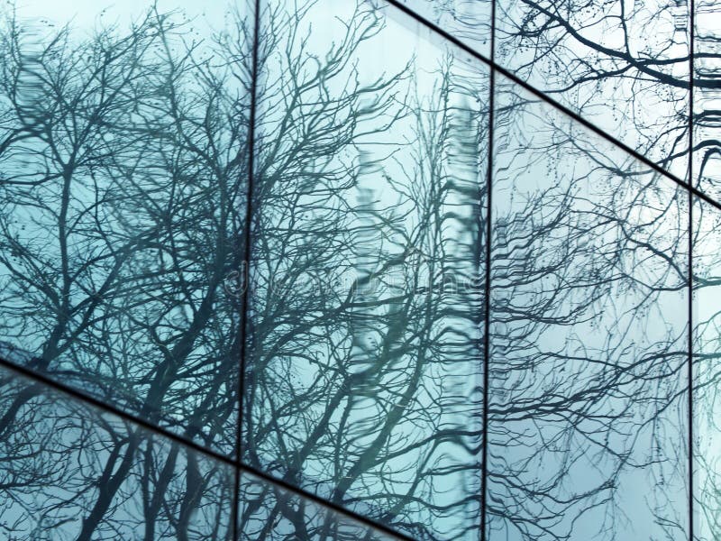 Trees are Reflected in the Glass Facade of a Modern Building Stock ...
