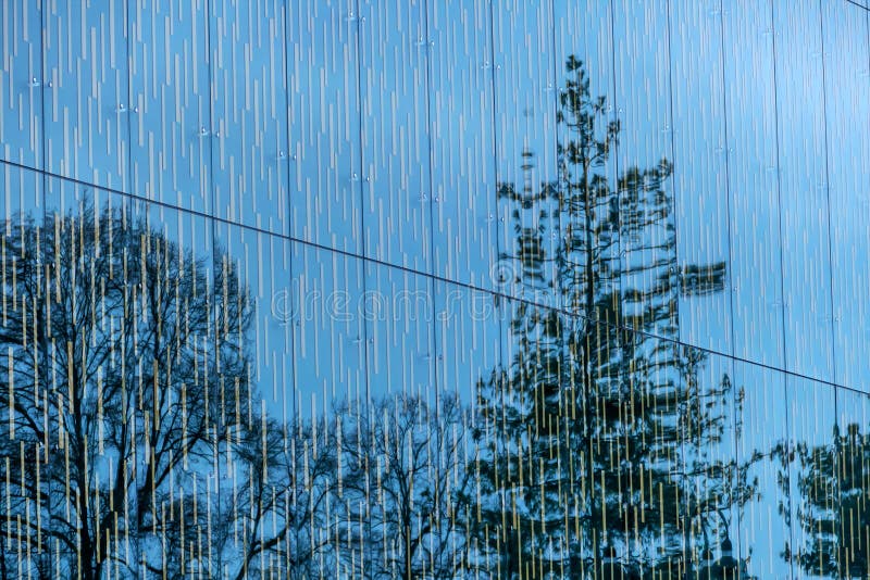 Trees Reflected in Glass Front Stock Image - Image of growth, fuzzy ...